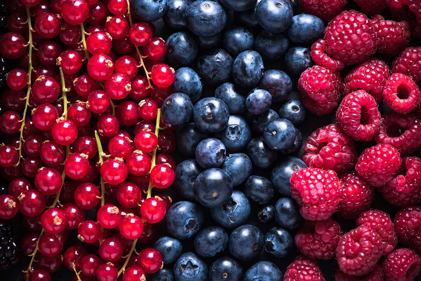 Frutti di bosco | Mogliano Veneto | Agricenter Pistollato